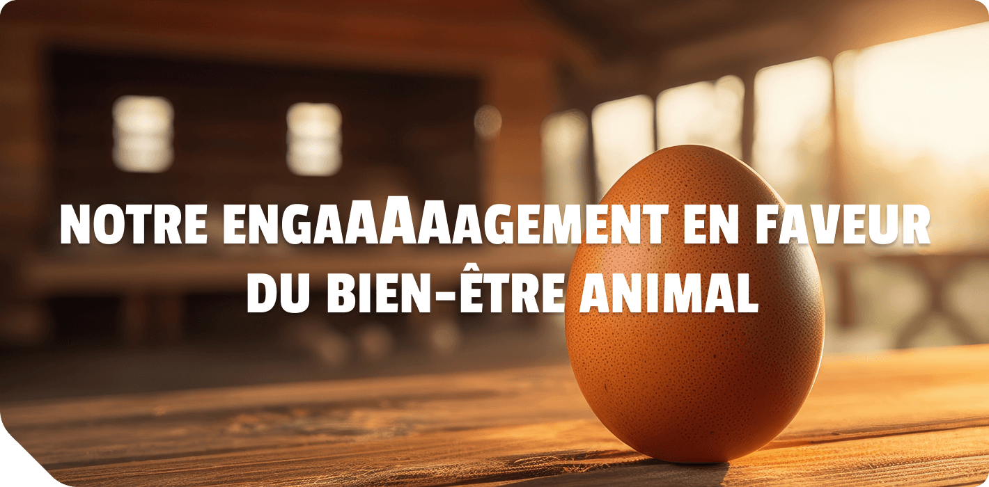 Bien-être animal - Flunch.fr